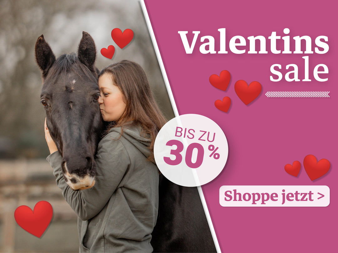 Agradi.de: Online Shop für Reitsport. Große Auswahl für Pferd & Reiter