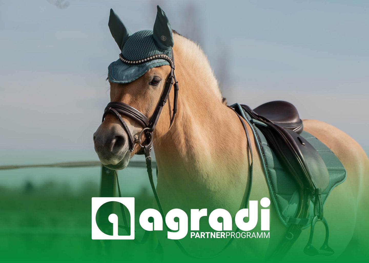 Partnerprogramm | Agradi.de