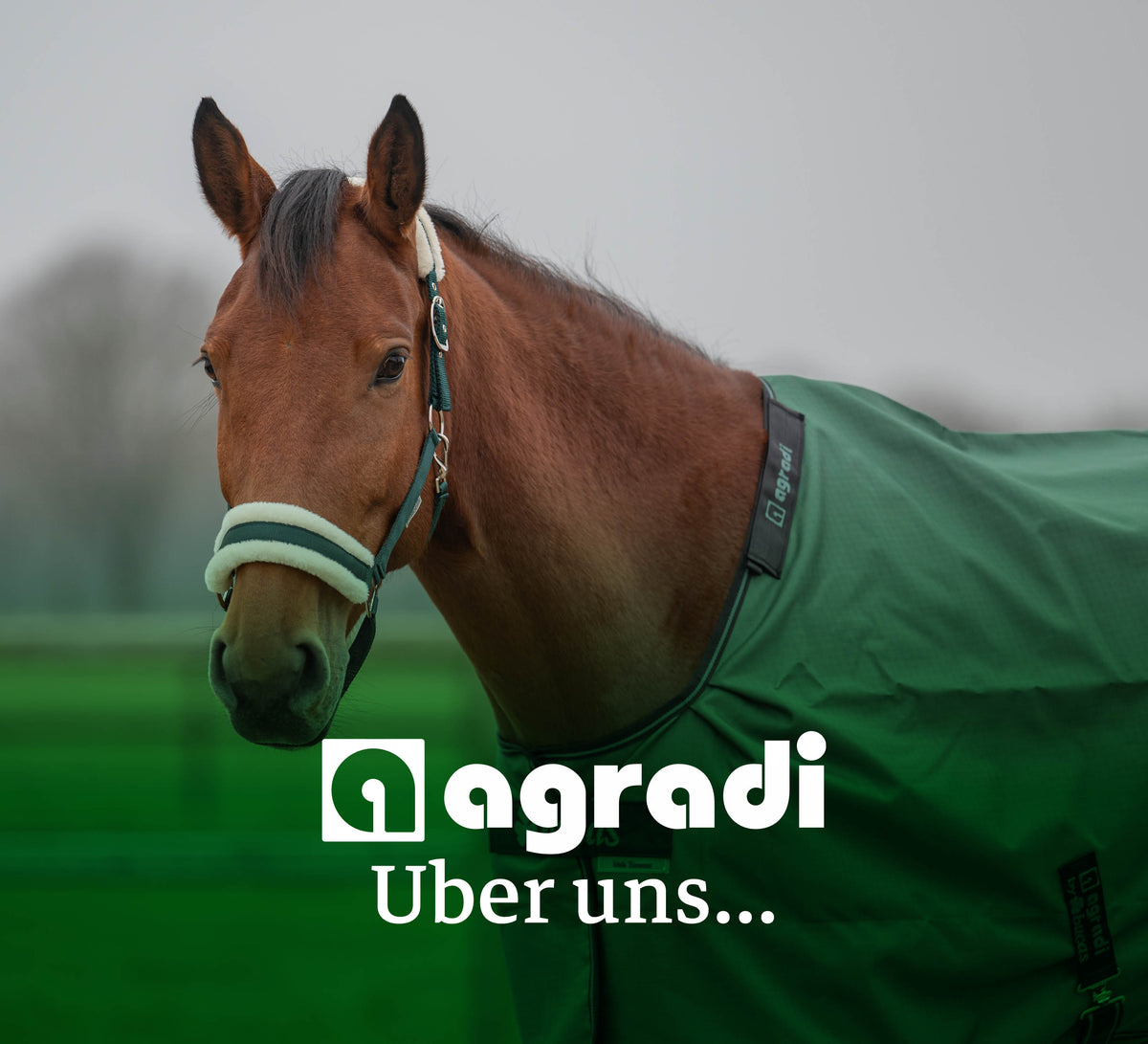 Über Agradi | Agradi.de