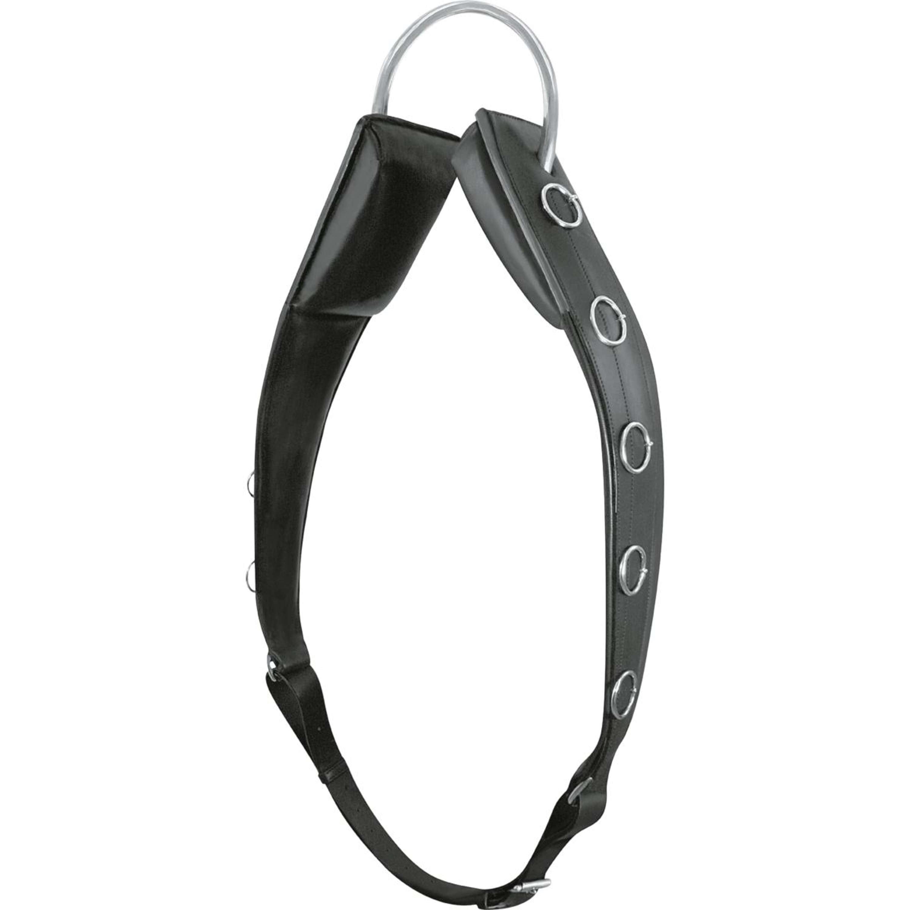 Passier Longiergurt Horst Becker Schwarz | Agradi.de